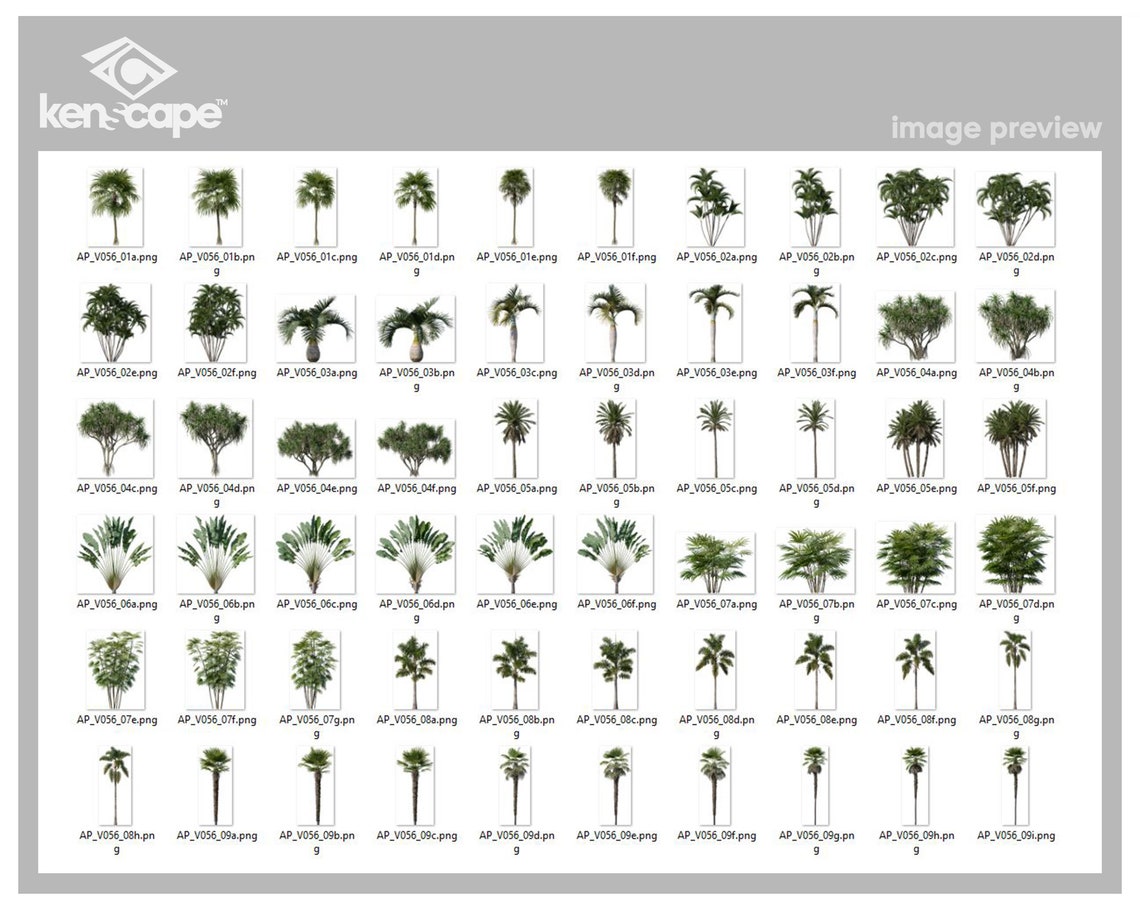 60 Tropical Plants Photo Overlays for Photoshop, Trees, Tropical Plants ...