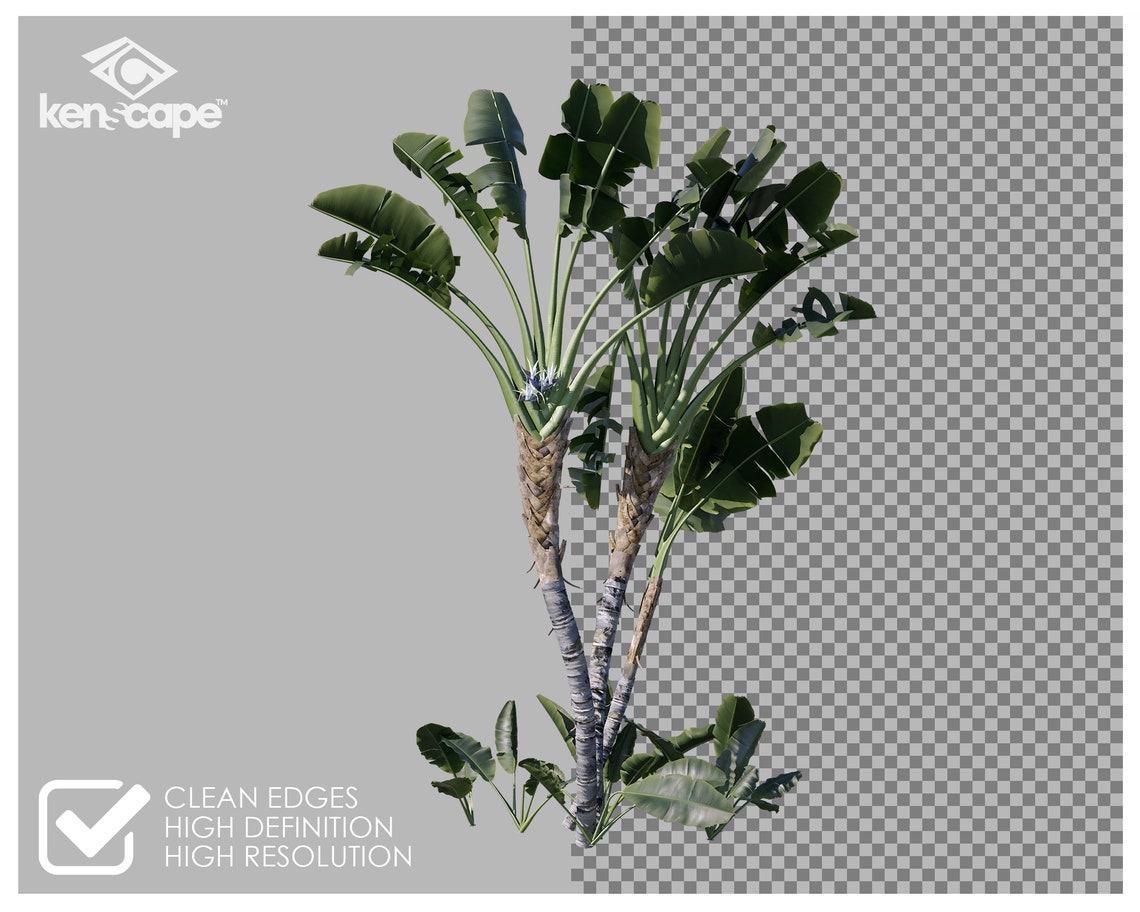 60 Tropical Plants Photo Overlays for Photoshop, Exotic Foliage, Jungle ...