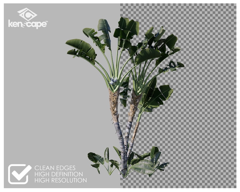 60 Tropical Plants Photo Overlays for Photoshop, Exotic Foliage, Jungle ...