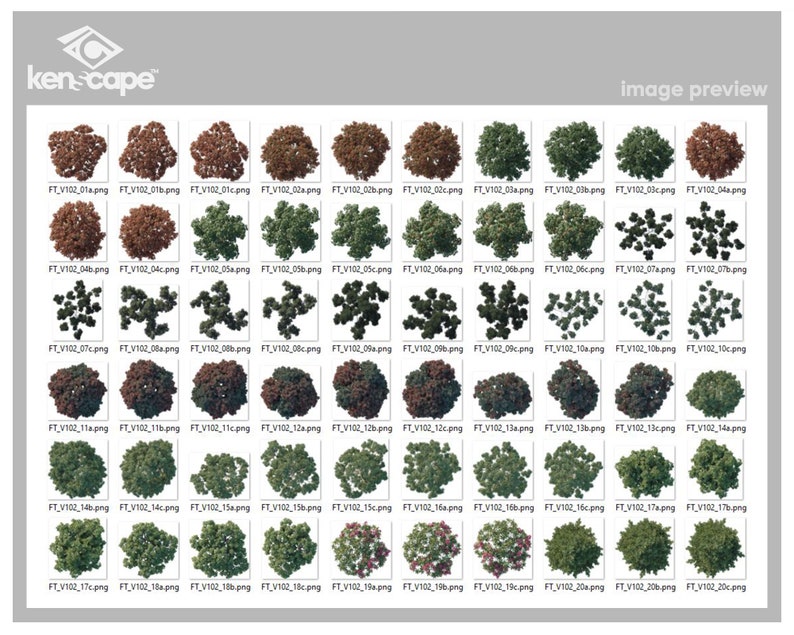60 Top View Trees Overlay for Photoshop, Aerial Trees, Overhead Trees ...