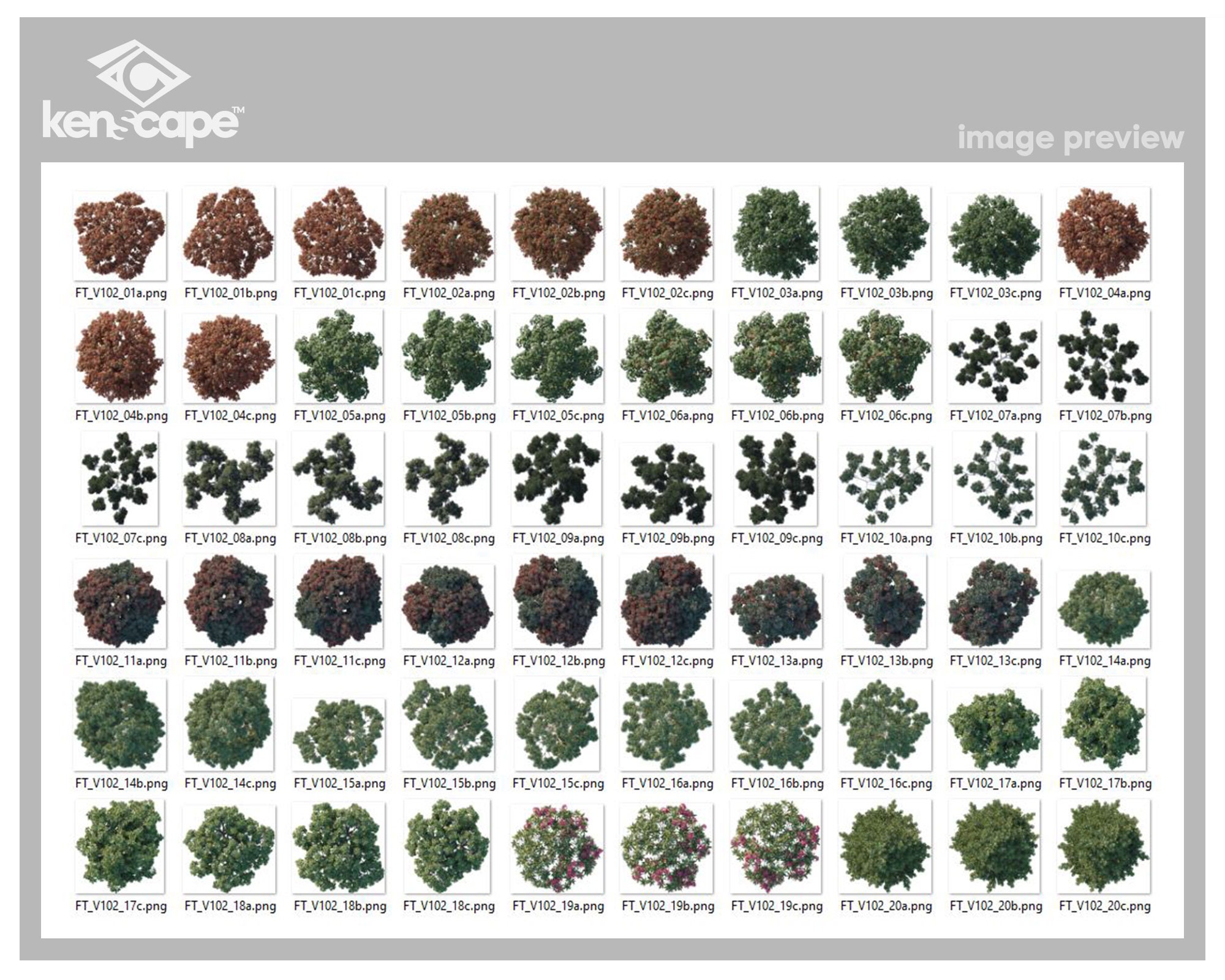 60 Top View Trees Overlay for Photoshop, Aerial Trees, Overhead Trees ...