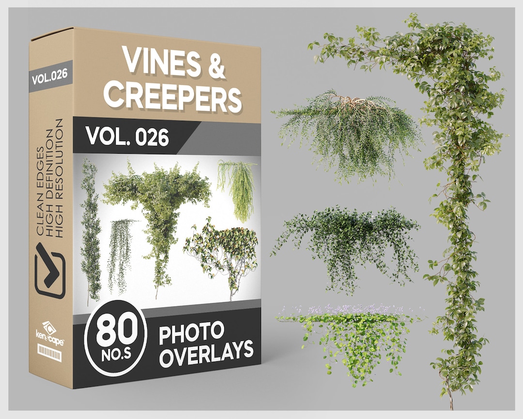 80 Vines & Creepers Photo Overlays for Photoshop, Vines, Ivy, Plants ...