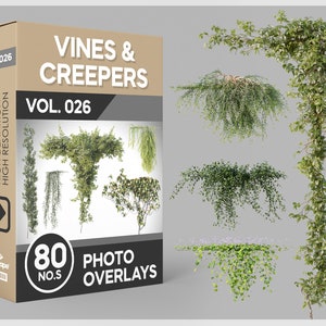 80 Vines & Creepers Photo Overlays for Photoshop, Vines, Ivy, Plants ...