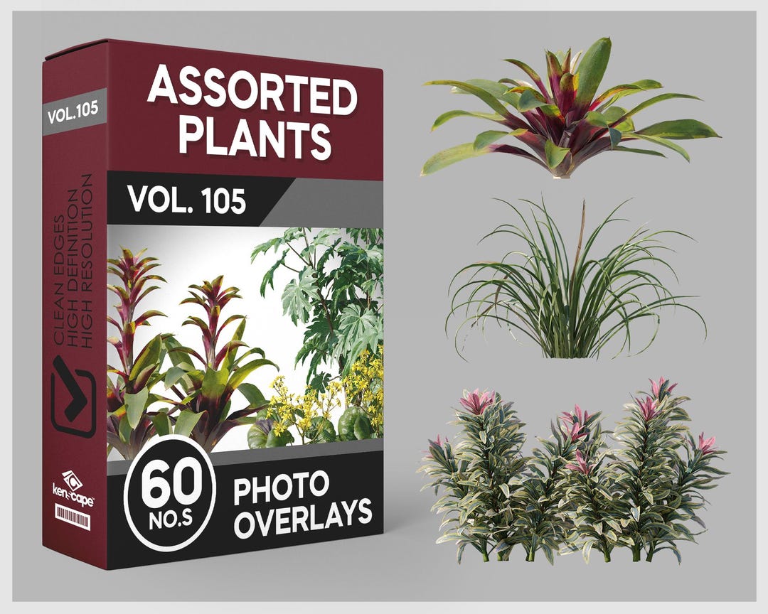 60 Assorted Plants Photo Overlays for Photoshop, Plants, Foliage Plants ...