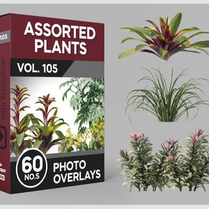 60 Assorted Plants Photo Overlays for Photoshop, Plants, Foliage Plants ...