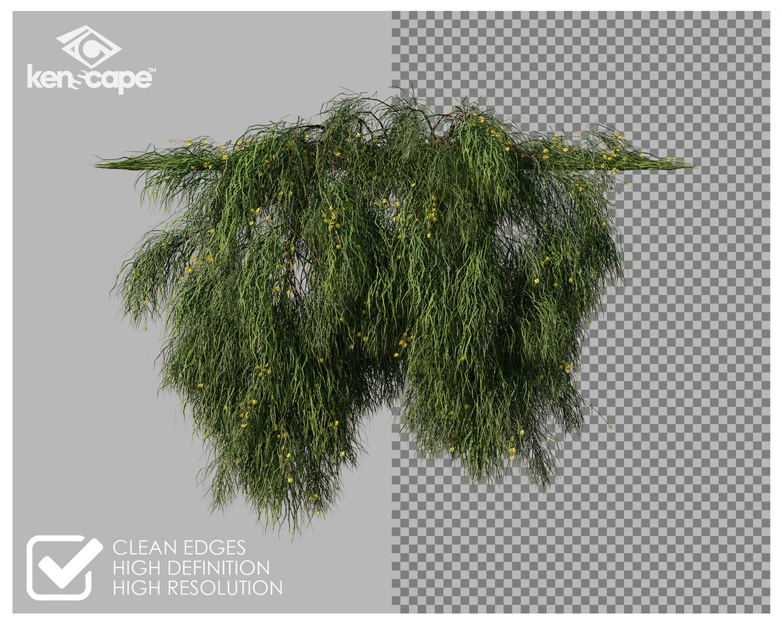 60 Vines & Creepers Photo Overlays for Photoshop Vines Ivy - Etsy