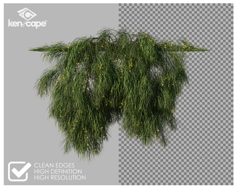 60 Vines & Creepers Photo Overlays for Photoshop Vines Ivy - Etsy