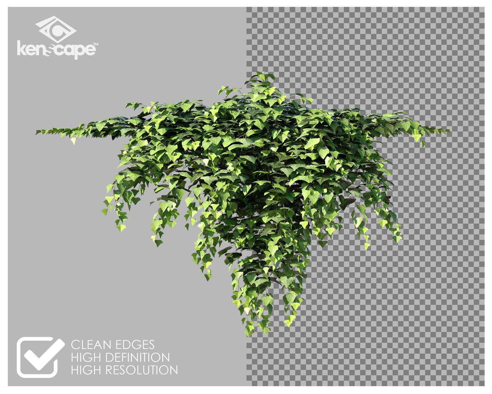 60 Vines & Creepers Photo Overlays for Photoshop, Vines, Ivy, Plants ...