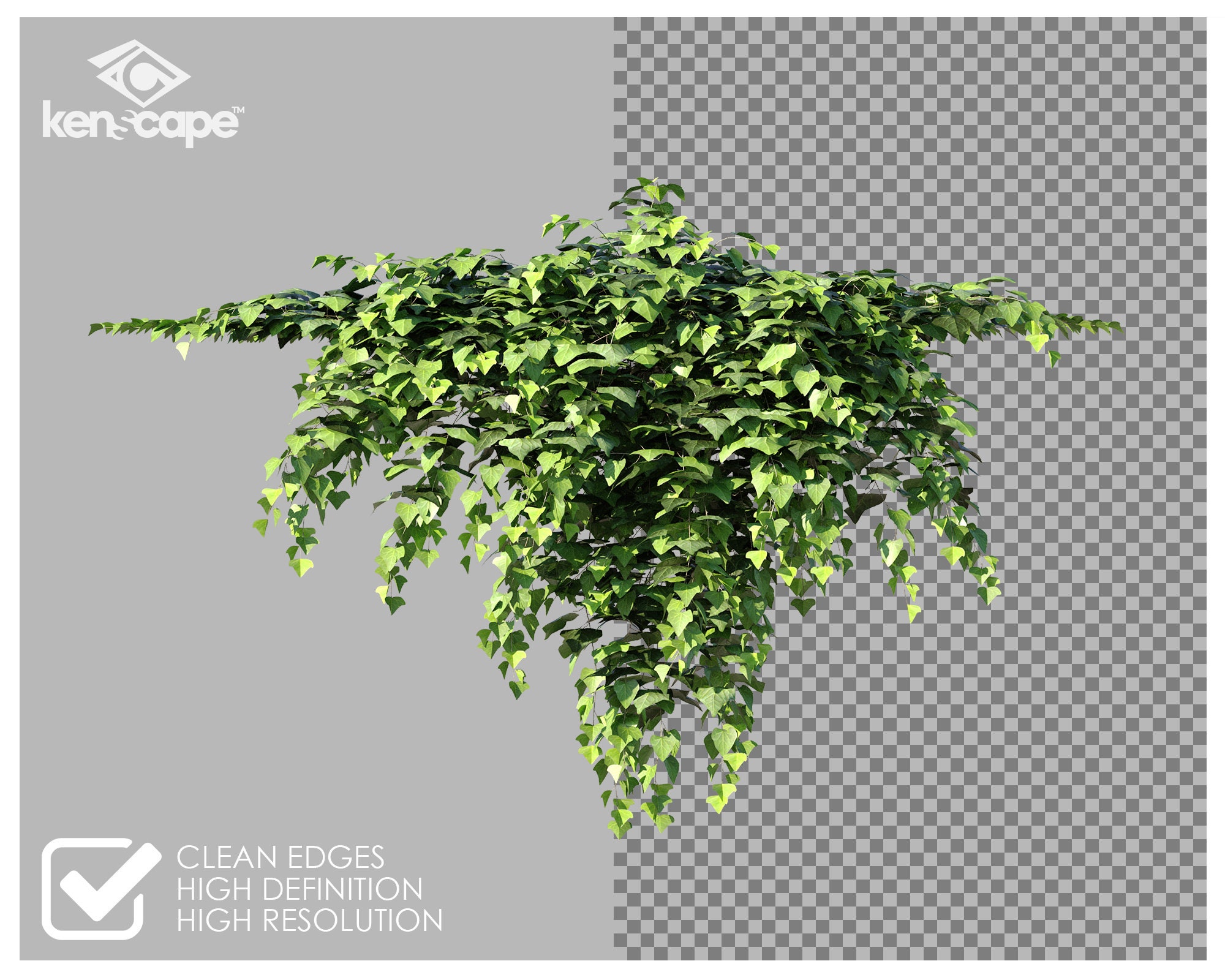 60 Vines & Creepers Photo Overlays for Photoshop, Vines, Ivy, Plants ...