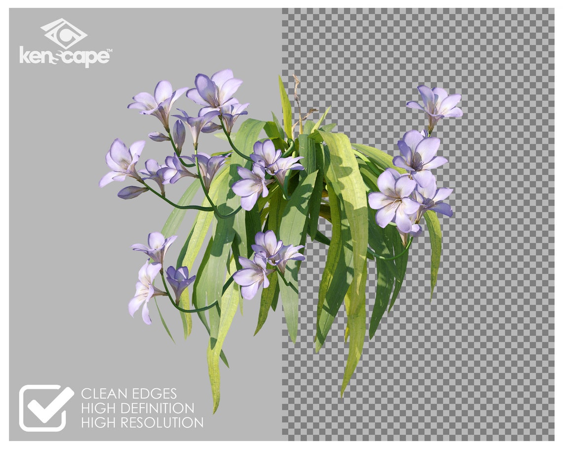 72 Assorted Flowers Photo Overlays for Photoshop, Flowers, Garden ...