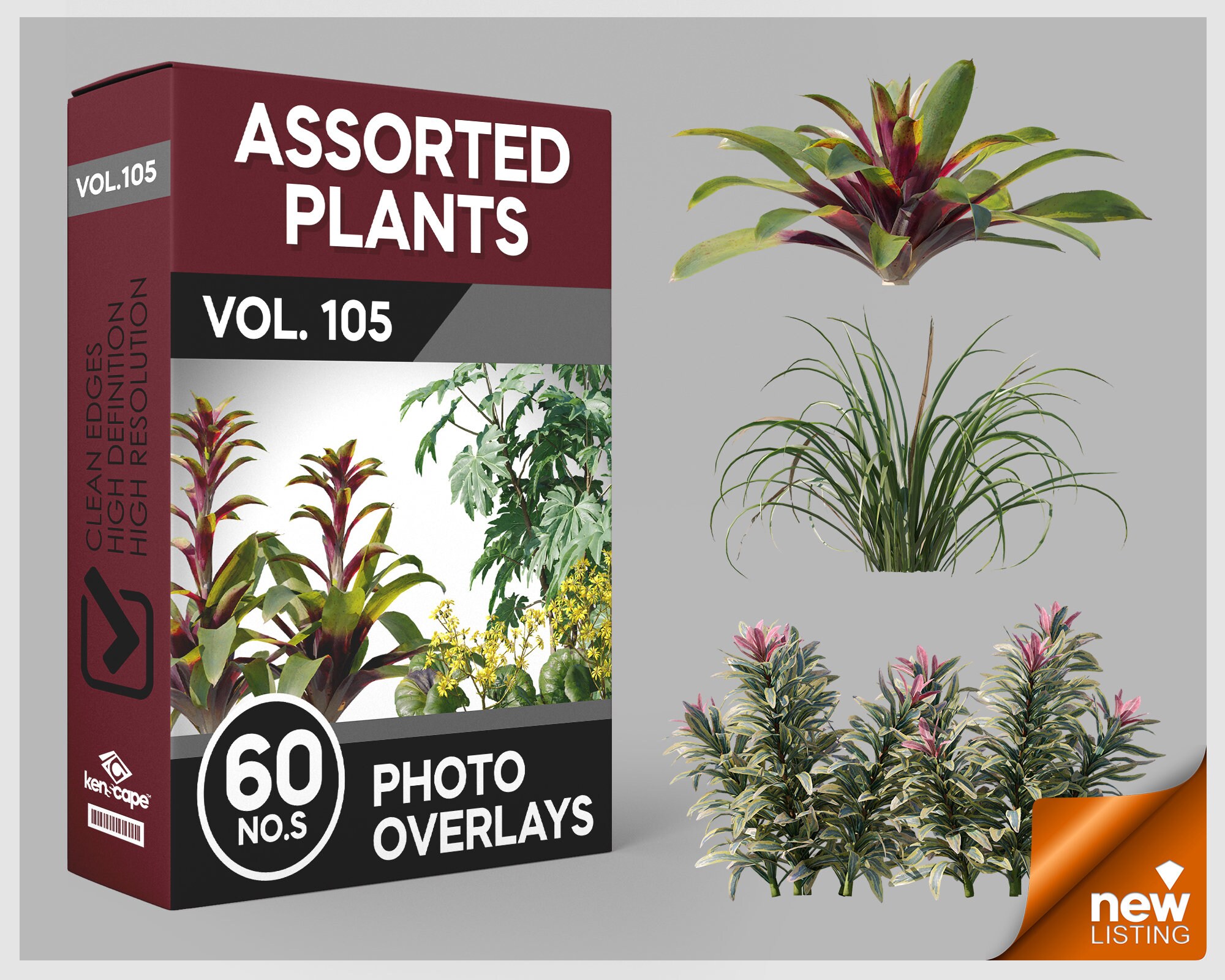 60 Assorted Plants Photo Overlays for Photoshop, Plants, Foliage Plants ...