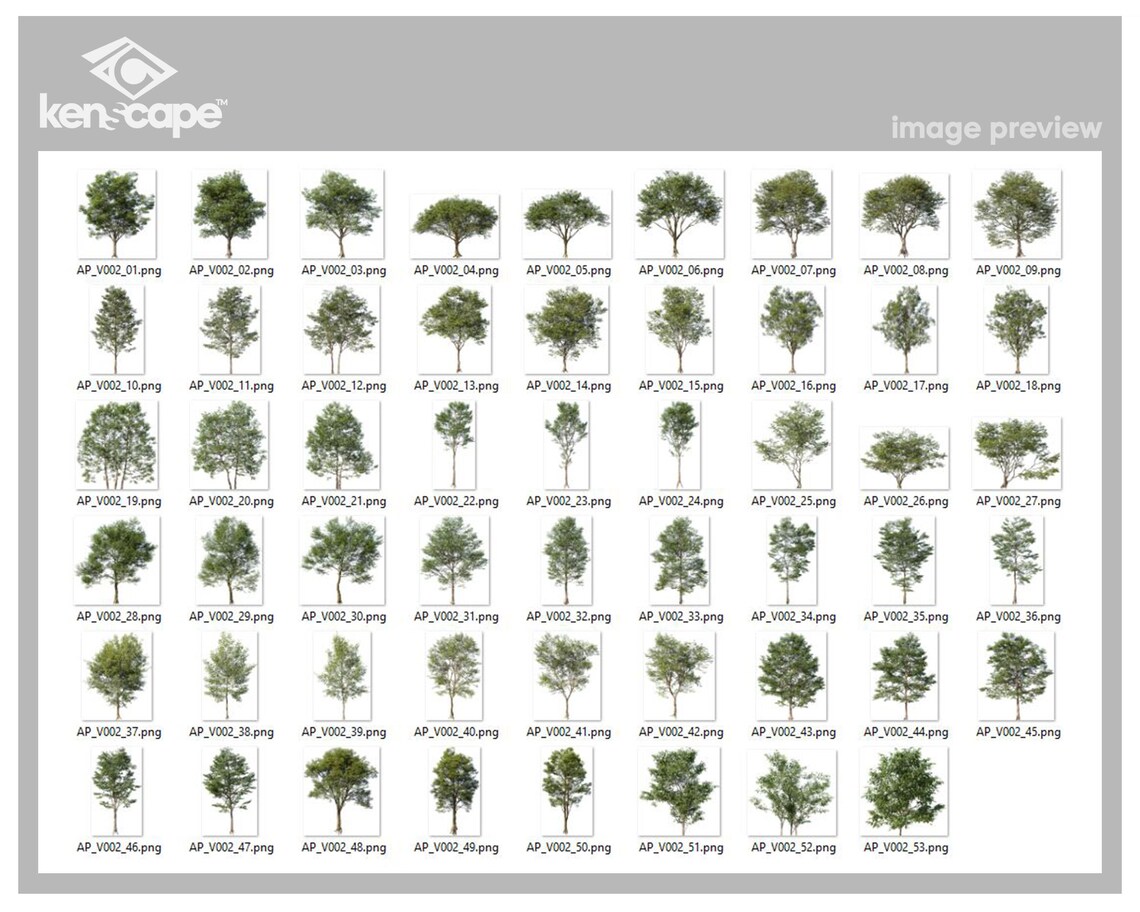 53 Trees Photo Overlays: Photoshop PNG Cutouts (digital Download) - Etsy