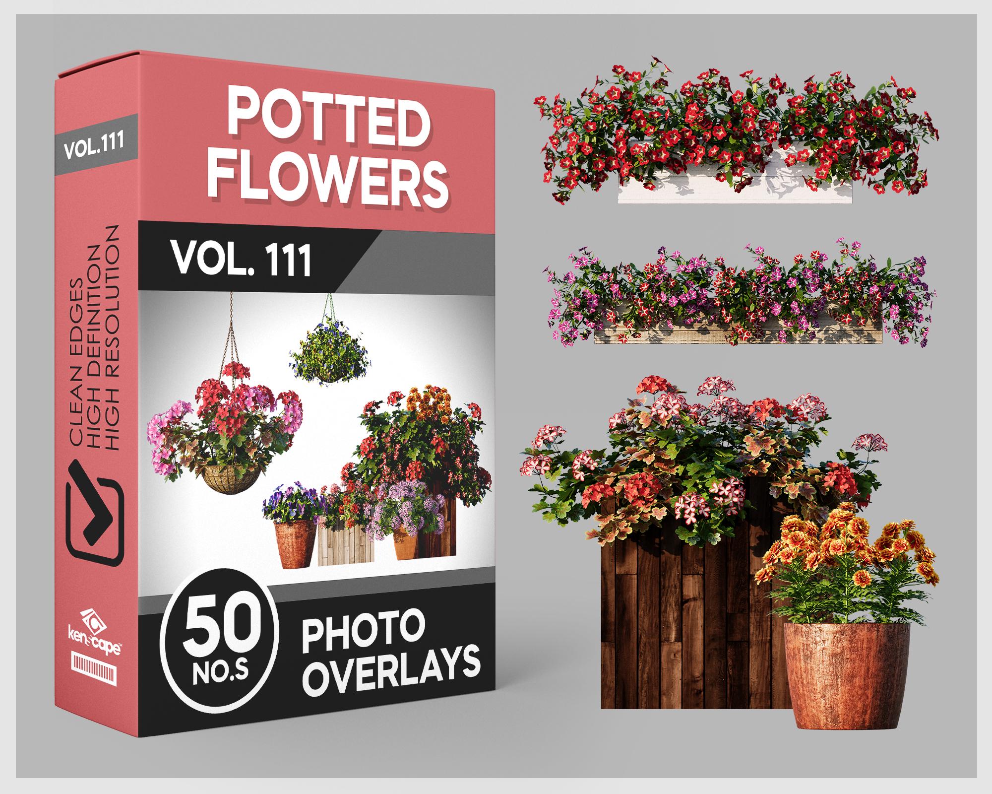 50 Potted Plants Photo Overlays for Photoshop, House Plants, Potted ...