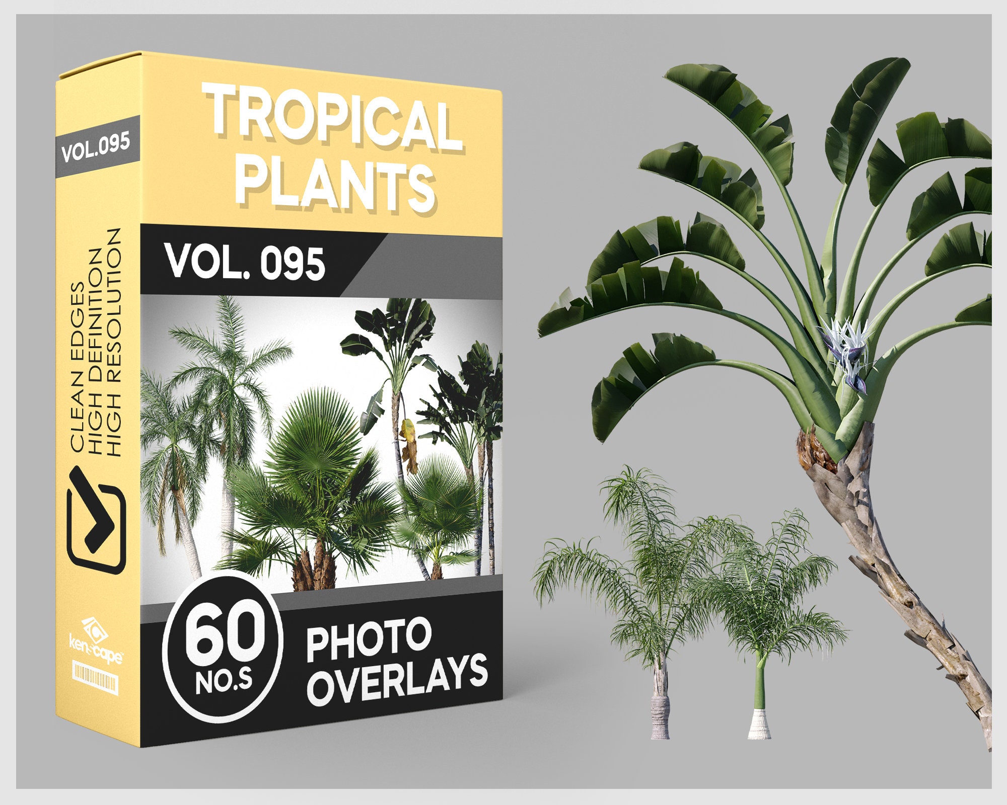 60 Tropical Plants Photo Overlays for Photoshop, Exotic Foliage, Jungle ...