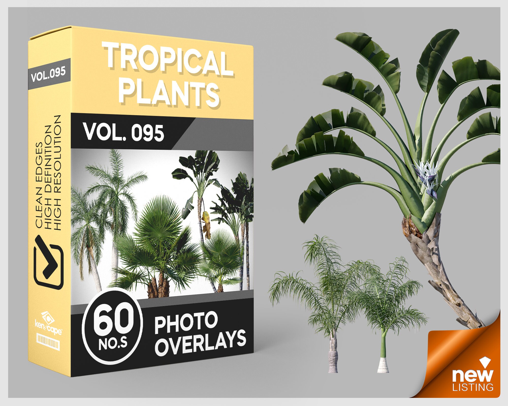 60 Tropical Plants Photo Overlays for Photoshop, Exotic Foliage, Jungle ...