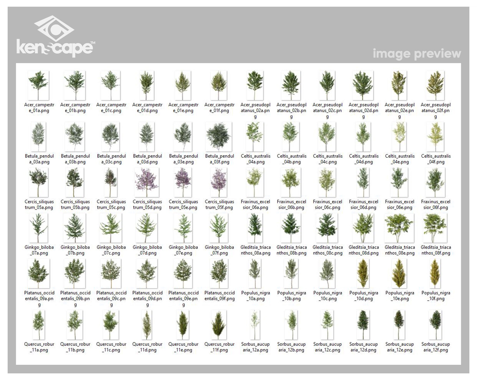 72 Small Trees Photo Overlays for Photoshop, Trees, Plants, Cutouts ...