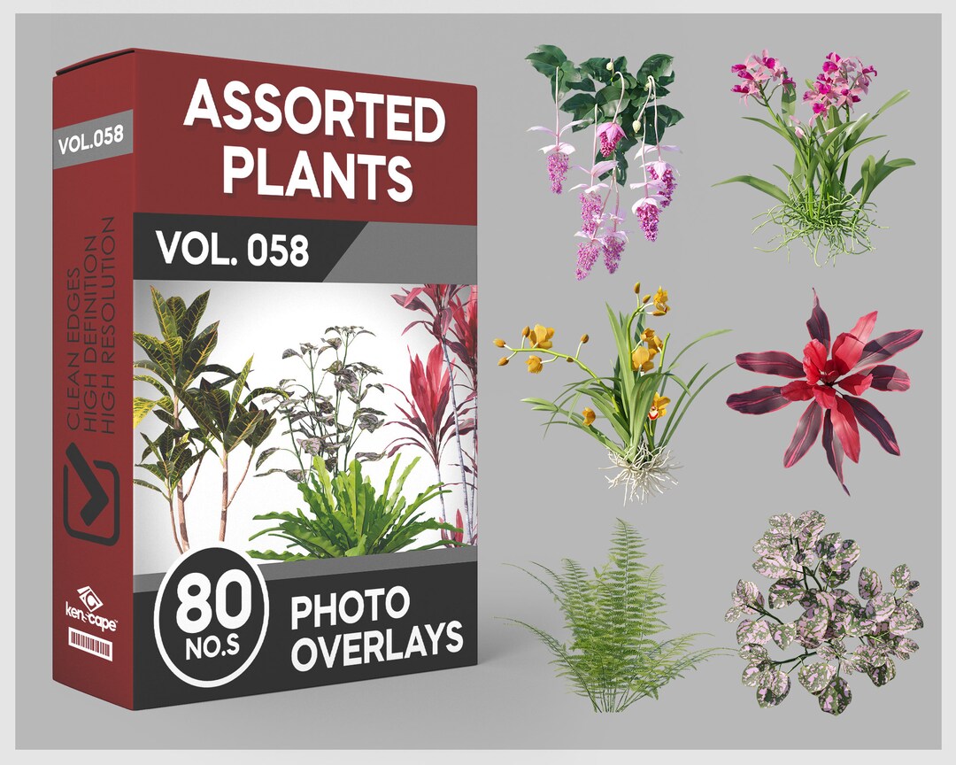 80 Assorted Plants Photo Overlays for Photoshop, Orchids, Plants ...