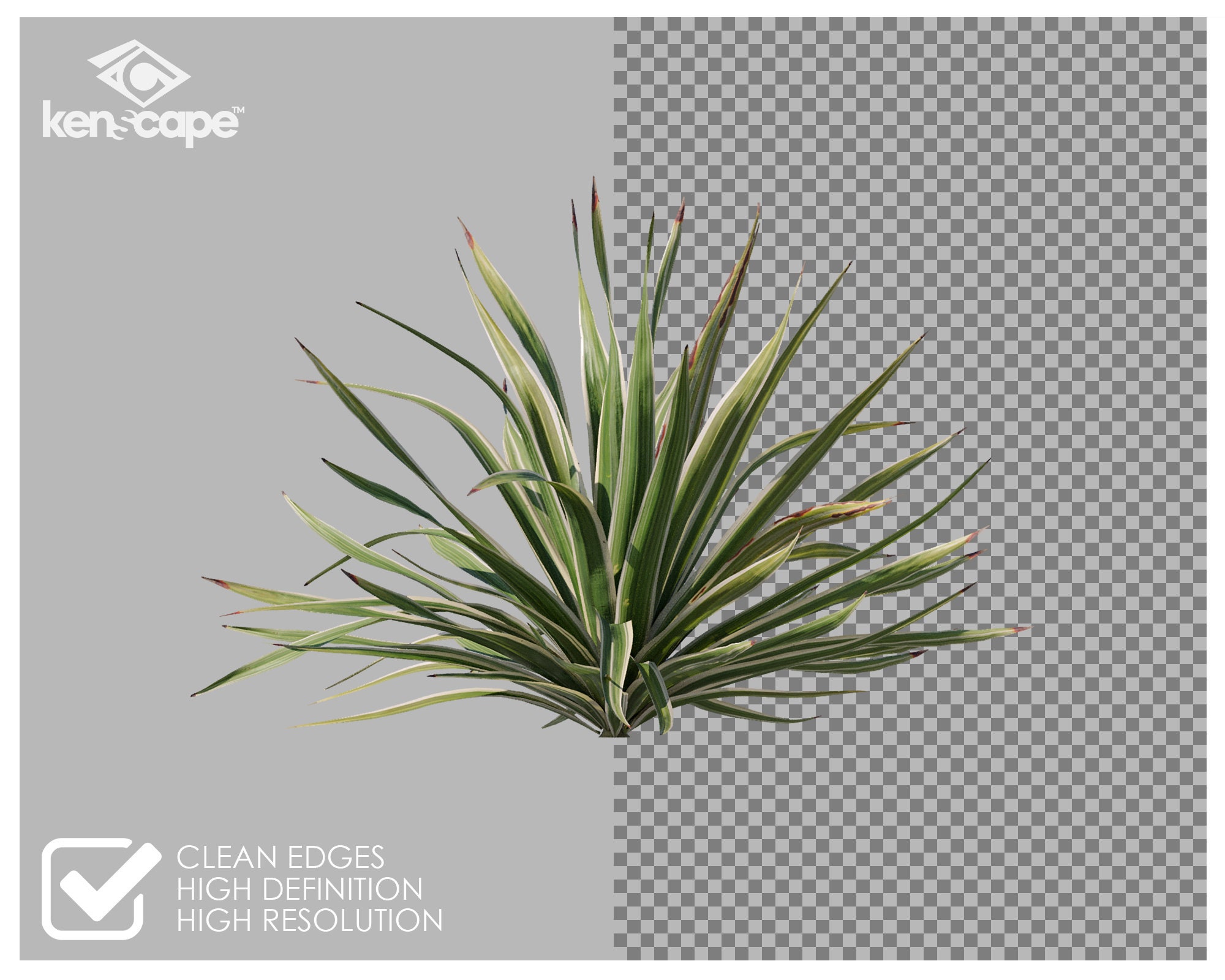 60 Assorted Plants Photo Overlays for Photoshop, Plants, Foliage Plants ...