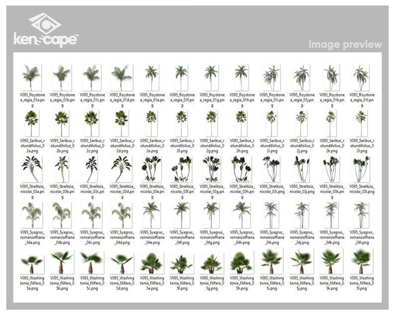 60 Tropical Plants Photo Overlays for Photoshop, Exotic Foliage, Jungle ...