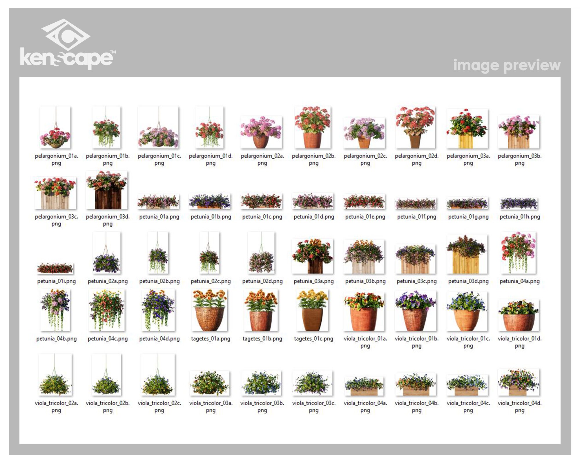 50 Potted Plants Photo Overlays for Photoshop, House Plants, Potted ...
