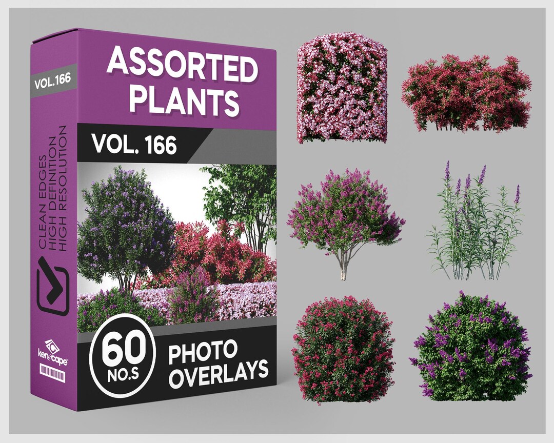 60 Assorted Plants Photo Overlays: PNG Cutouts for Photoshop (digital ...
