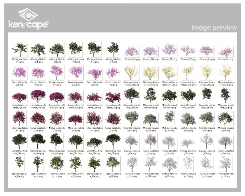 72 Spring Trees Photo Overlays for Photoshop Trees Plants - Etsy