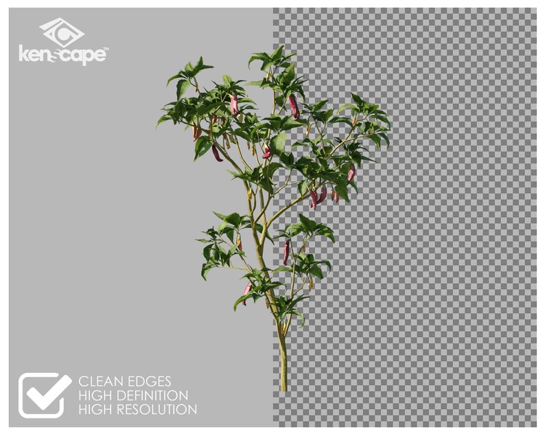 60 Farm Plants Photo Overlays for Photoshop, Vegetables, Plants, Food ...