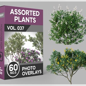 60 Assorted Plants Photo Overlays for Photoshop, Home Plants, Plants ...