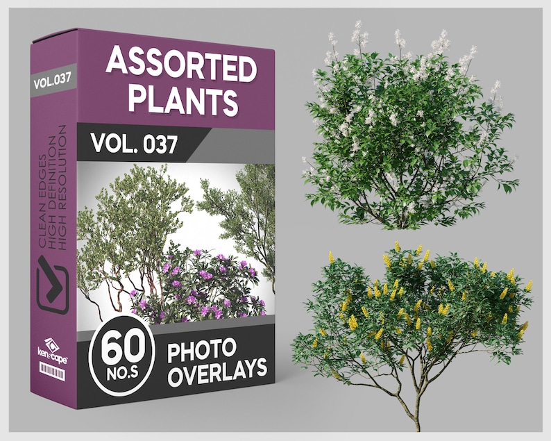 60 Assorted Plants Photo Overlays for Photoshop, Home Plants, Plants ...