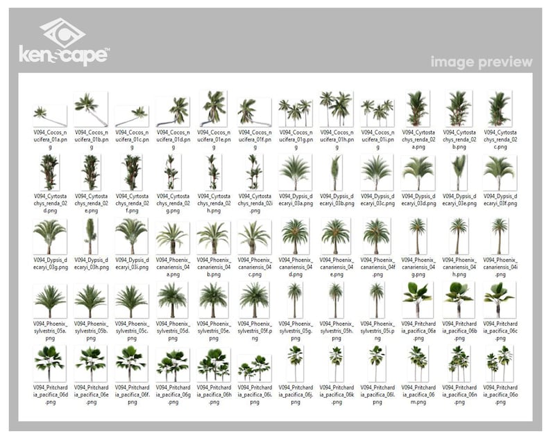 60 Tropical Plants Photo Overlays for Photoshop, Exotic Foliage, Jungle ...