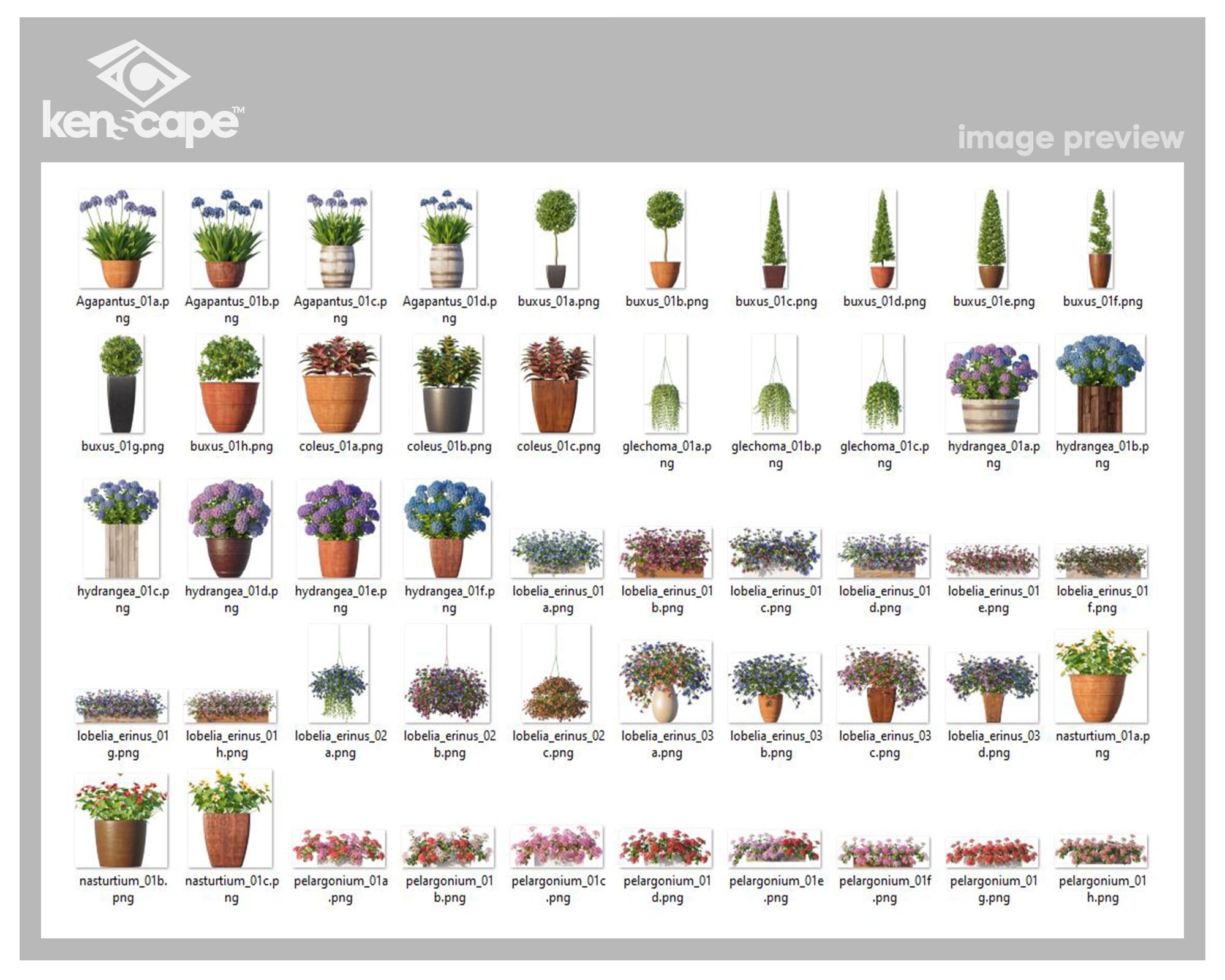 50 Potted Plants Photo Overlays for Photoshop, House Plants, Potted ...