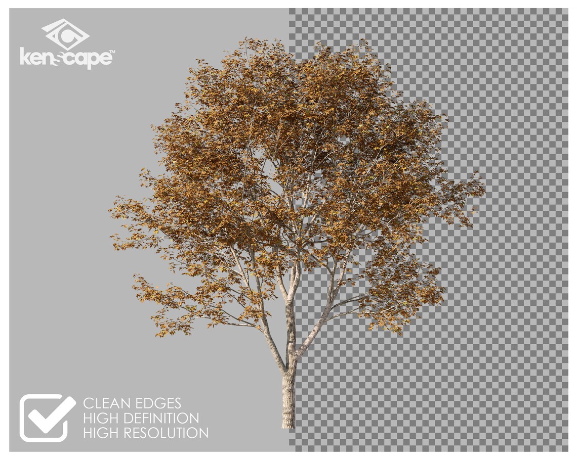 72 Autumn Trees Photo Overlays for Photoshop, Trees, Fall Trees ...