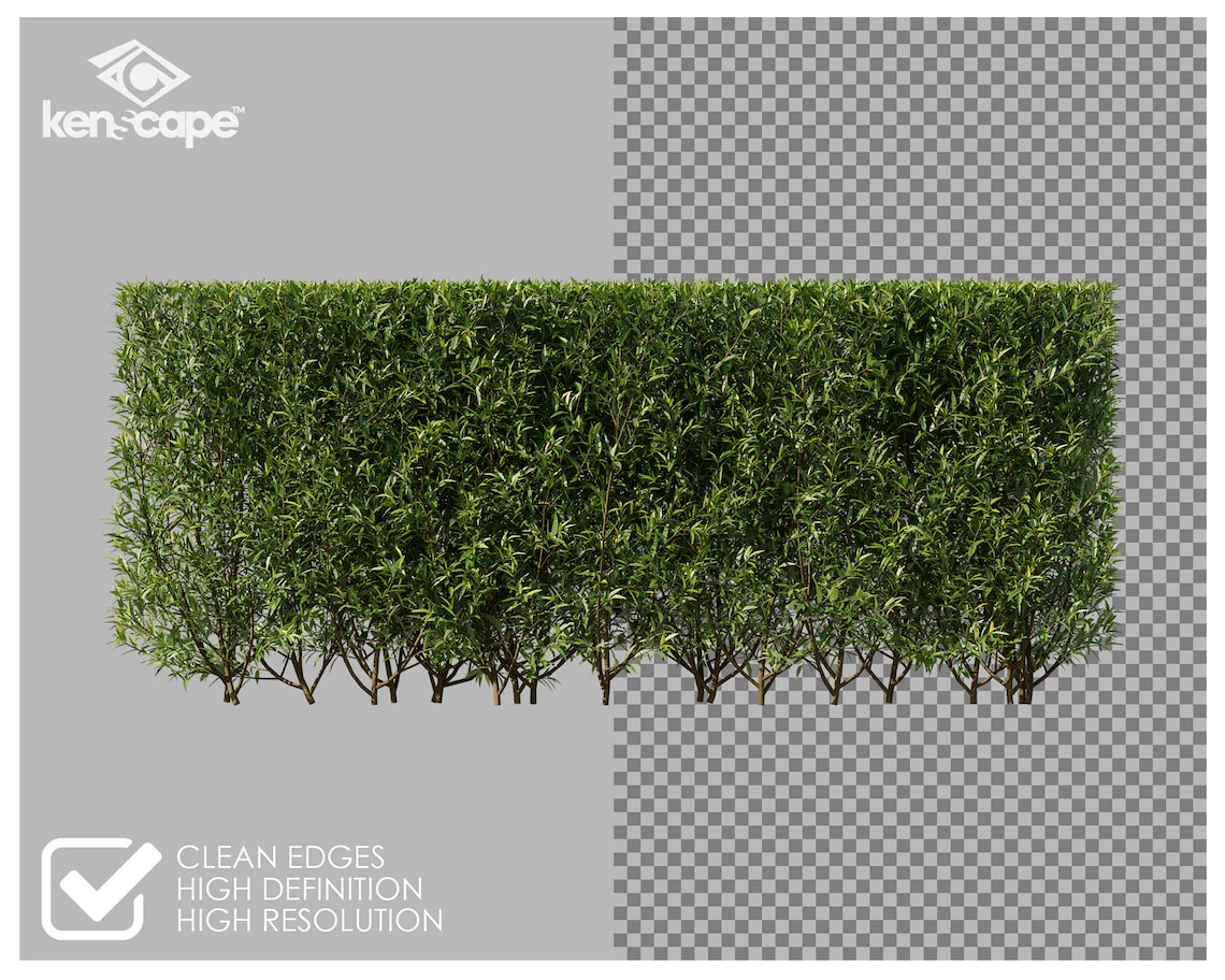 90 Shrubs Photo Overlays for Photoshop, Boxwood, Bush, Undergrowth ...