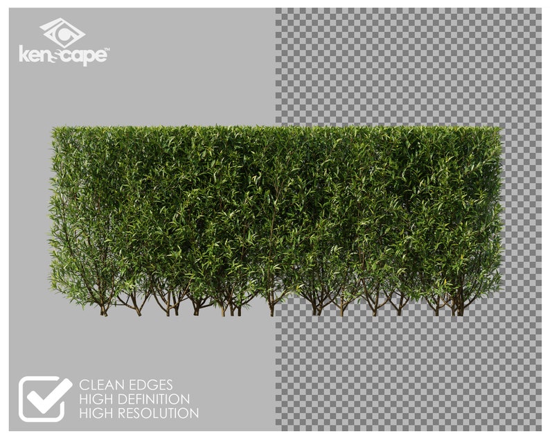 90 Shrubs Photo Overlays for Photoshop, Boxwood, Bush, Undergrowth ...