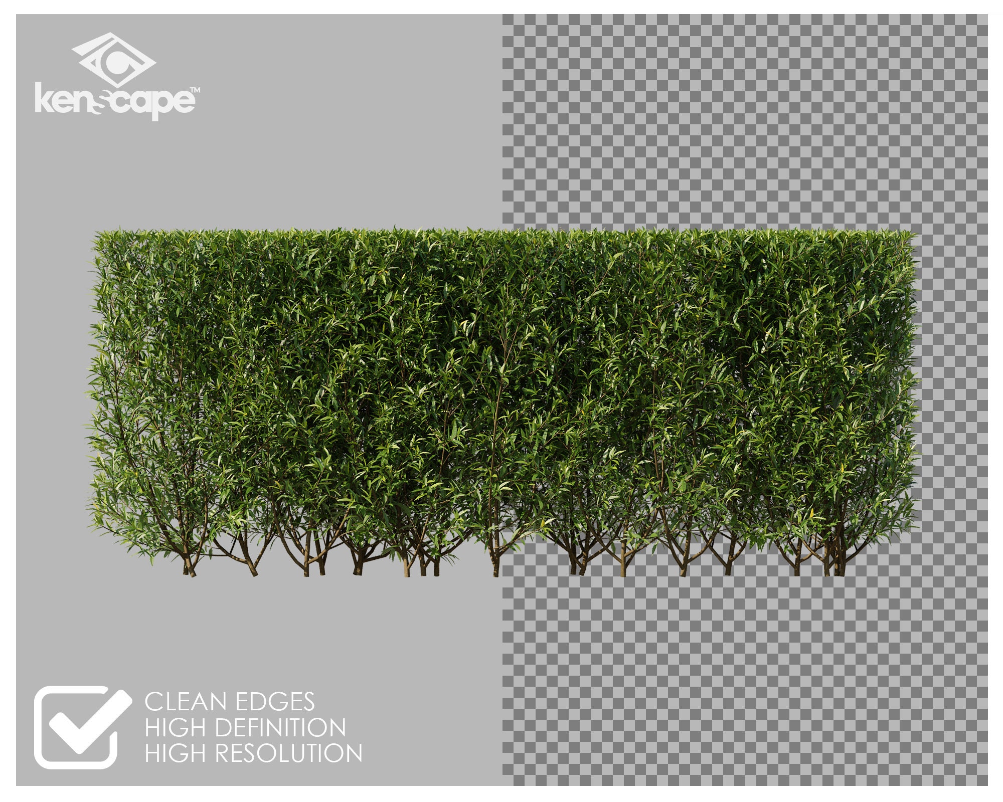 90 Shrubs Photo Overlays for Photoshop, Boxwood, Bush, Undergrowth ...