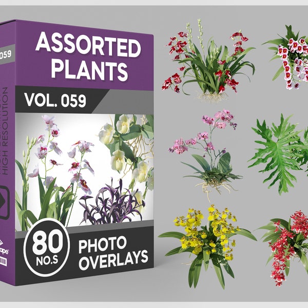 65 Assorted Plants Photo Overlays for Photoshop, Trees, Overlay Trees ...