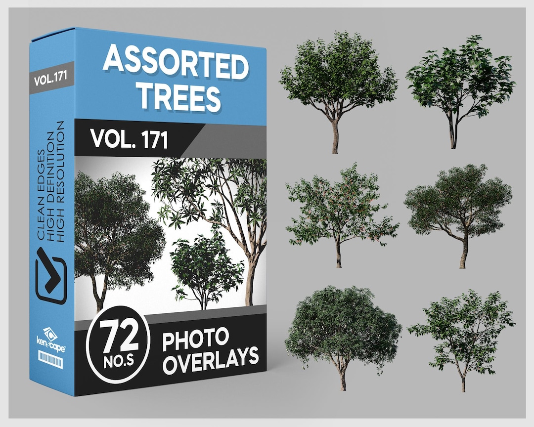 72 Tree Photo Overlays: Photoshop Cutouts, Scrapbooking PNG (digital ...
