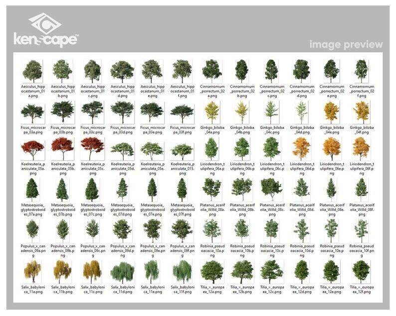 72 Assorted Trees Photo Overlays for Photoshop, Trees, Plants, Cutouts ...