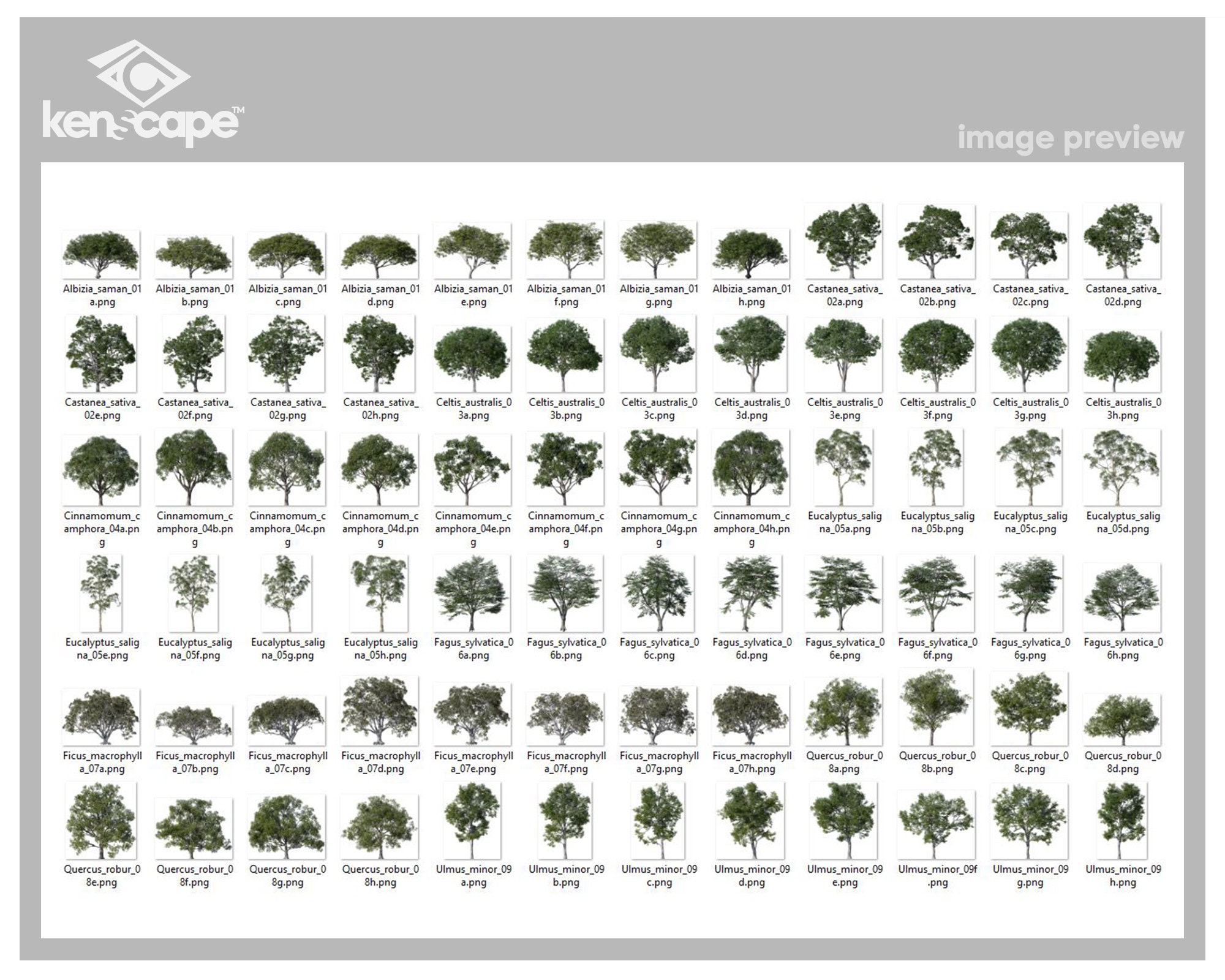 72 Summer Trees Photo Overlays for Photoshop, Trees, Plants, Cutouts ...