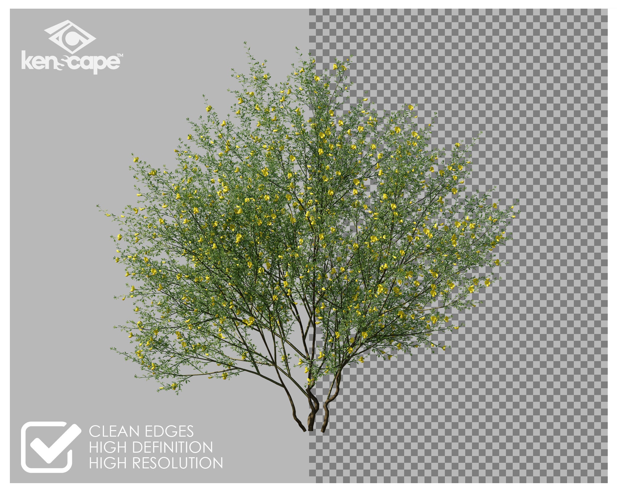 72 Assorted Plants Photo Overlays for Photoshop, Plants, Outdoor Plants ...