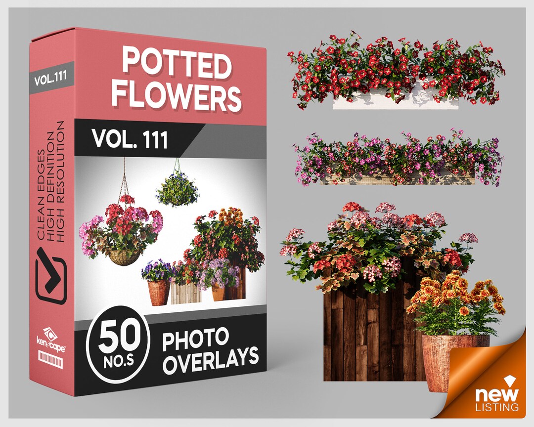 50 Potted Plants Photo Overlays for Photoshop, House Plants, Potted ...
