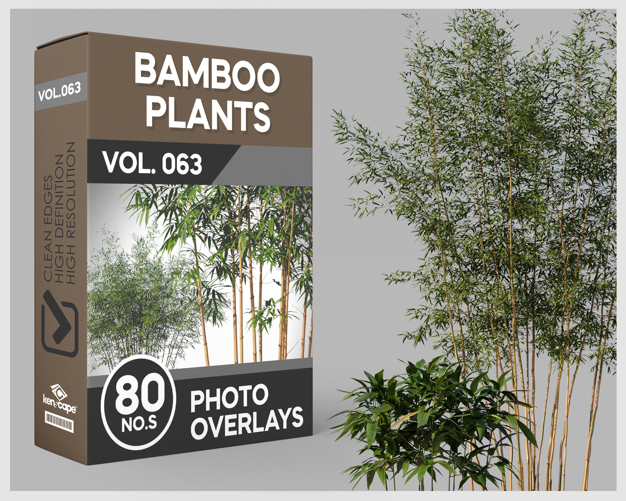 80 Bamboo Plants Photo Overlays for Photoshop, Cane Plants, Cutouts ...