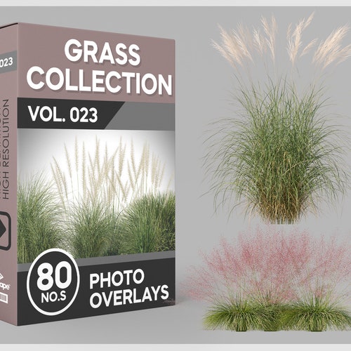 80 Grass Photo Overlays for Photoshop Grass Landscape - Etsy