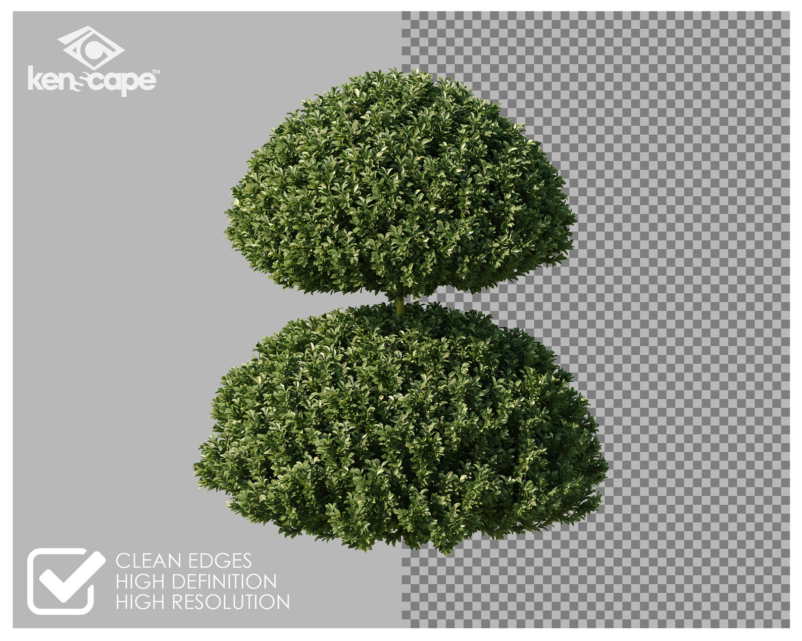 90 Shrubs Photo Overlays for Photoshop, Boxwood, Bush, Undergrowth ...