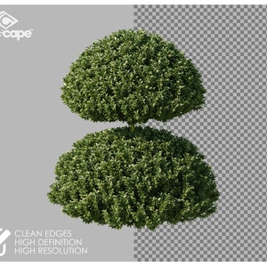 90 Shrubs Photo Overlays for Photoshop, Boxwood, Bush, Undergrowth ...