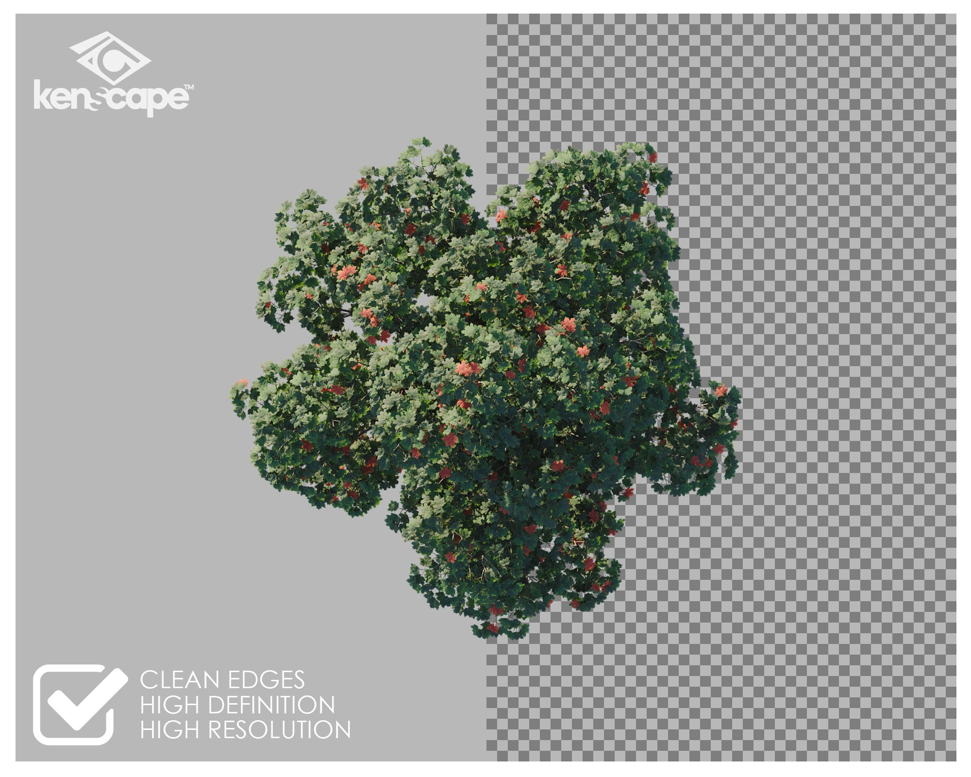 60 Top View Trees Overlay for Photoshop, Aerial Trees, Overhead Trees ...