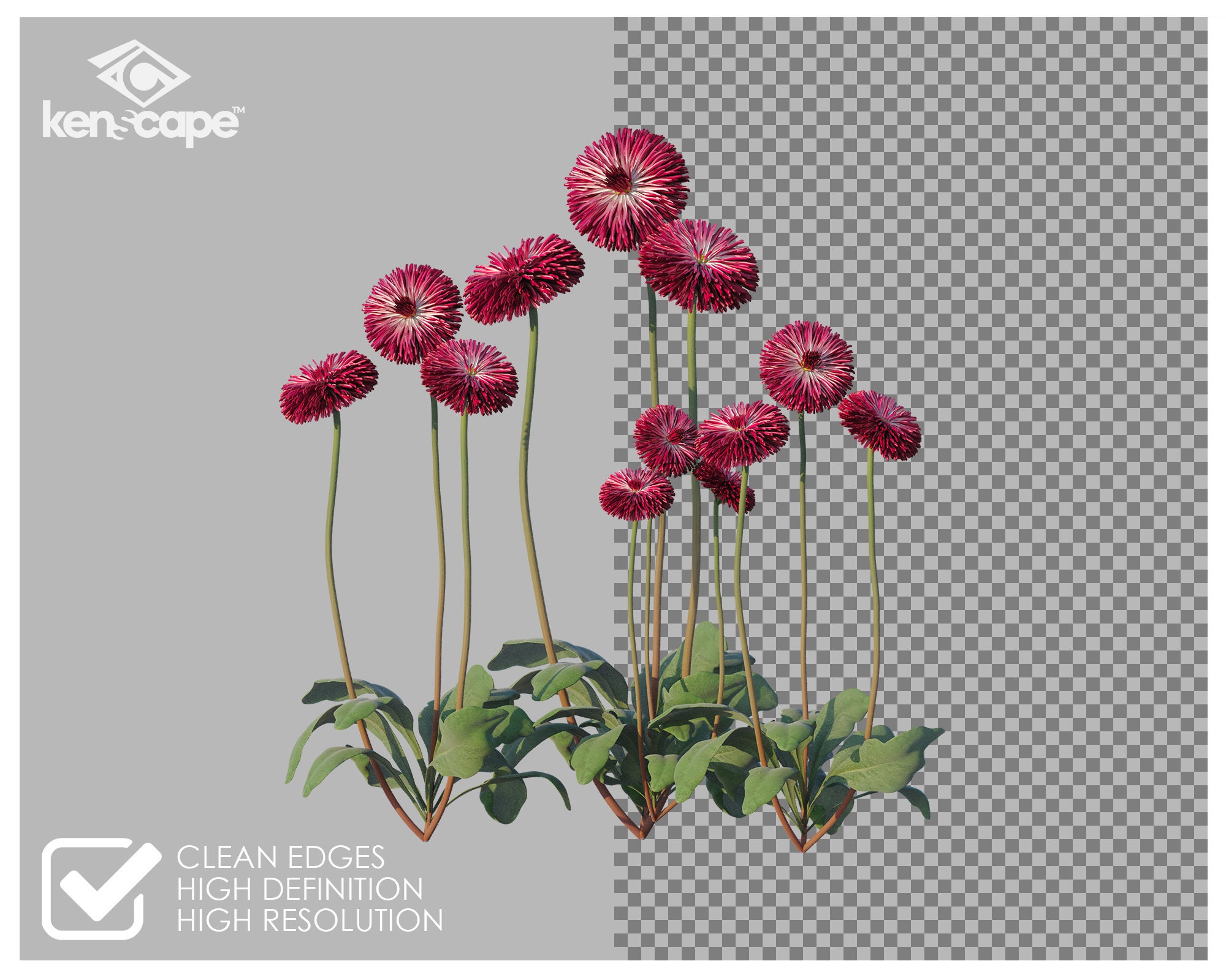 60 Assorted Flowers Photo Overlays for Photoshop, Flowers, Garden ...