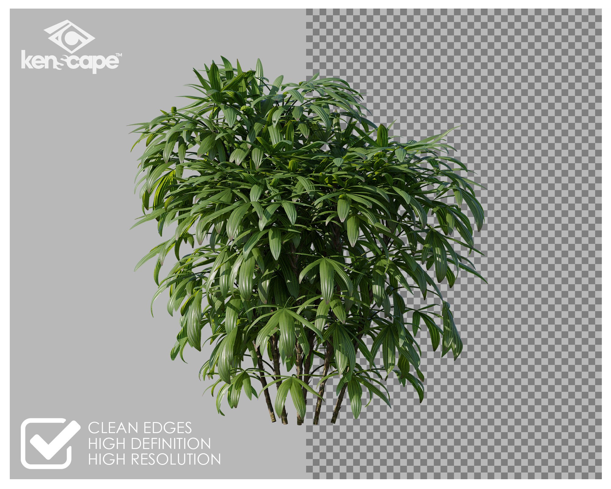60 Tropical Plants Photo Overlays for Photoshop, Trees, Tropical Plants ...