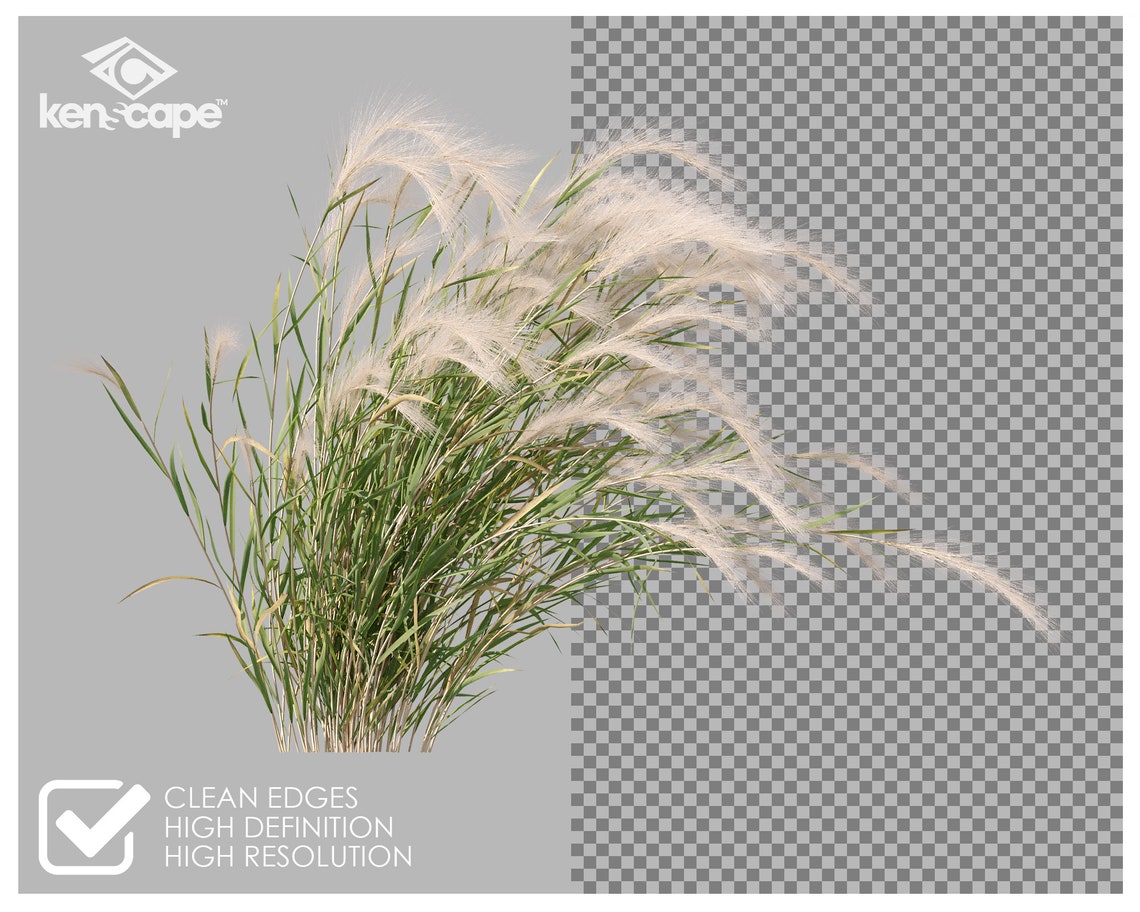 80 Grass Photo Overlays for Photoshop Grass Landscape - Etsy