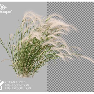 80 Grass Photo Overlays for Photoshop, Grass, Landscape, Plants ...